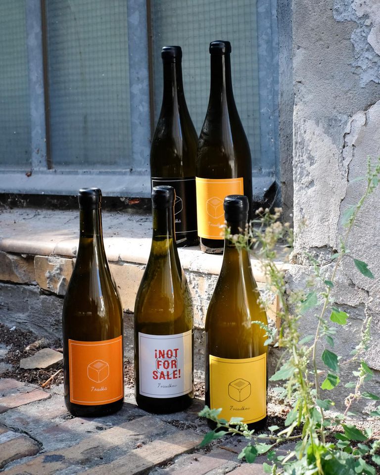 Filip Nagy – das Mastermind hinter 7Radku – weinskandal