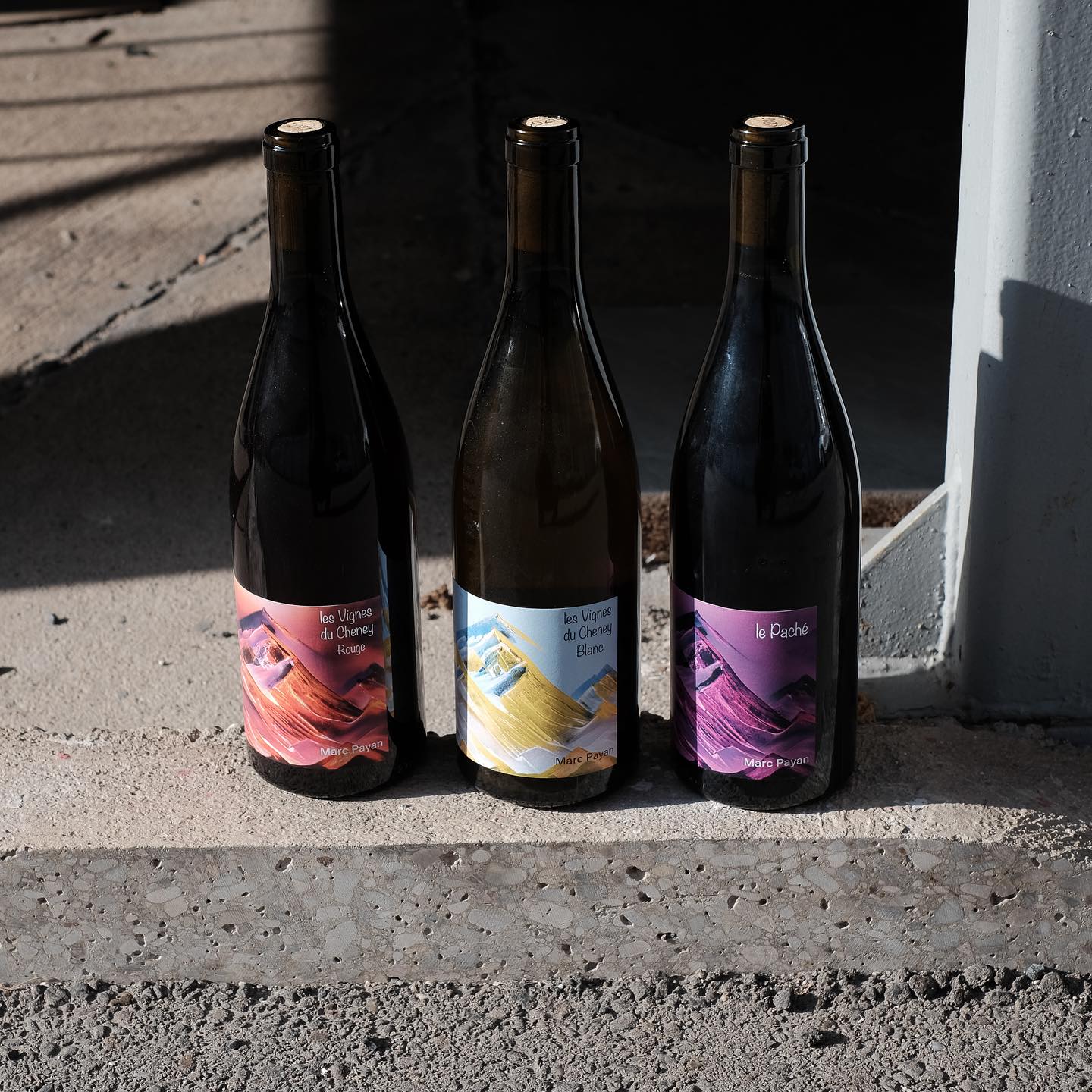 Alpiner Weinbau at its best – weinskandal